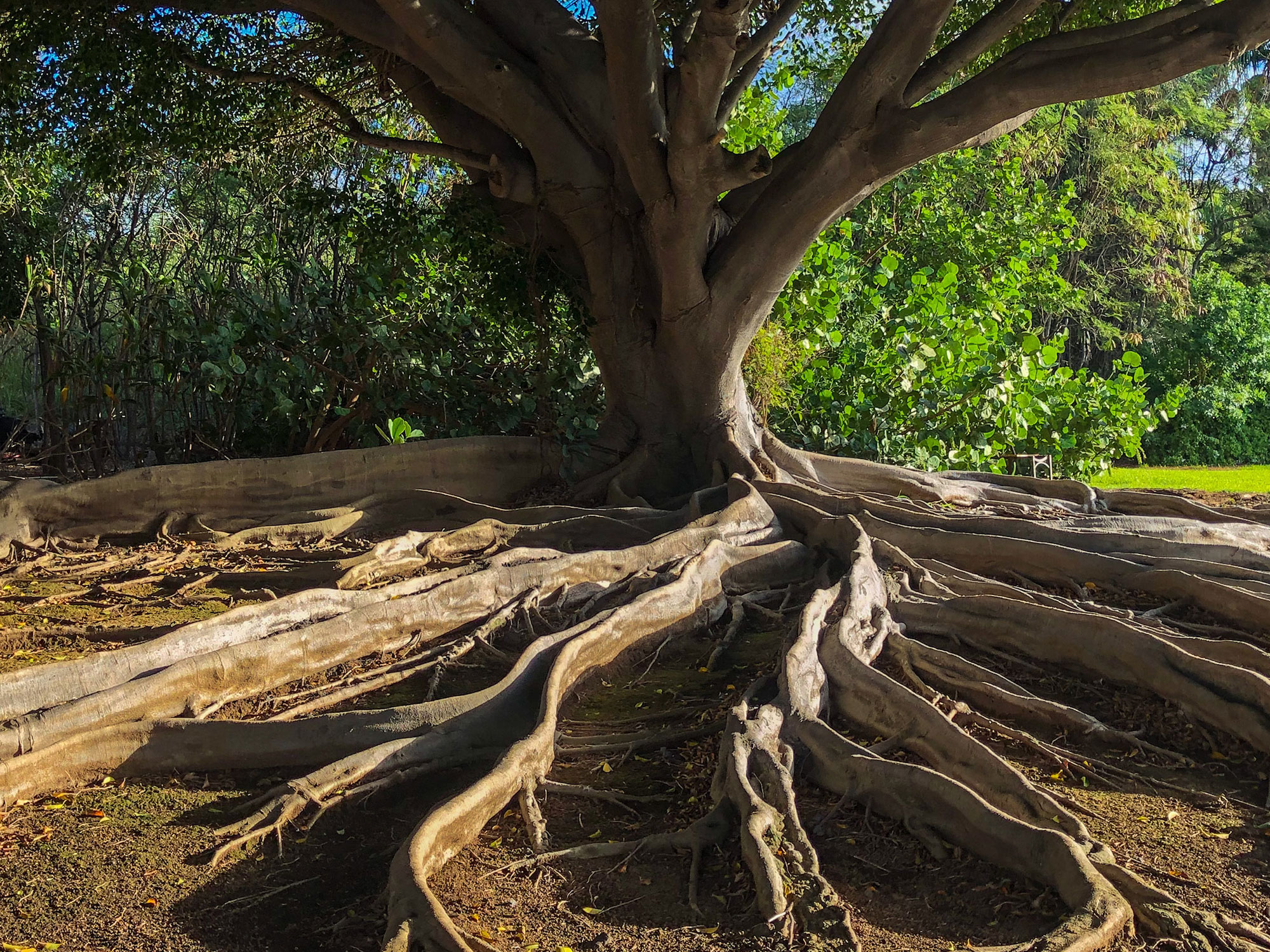 Missional Living Flows Out of a Life Rooted in the Love of God