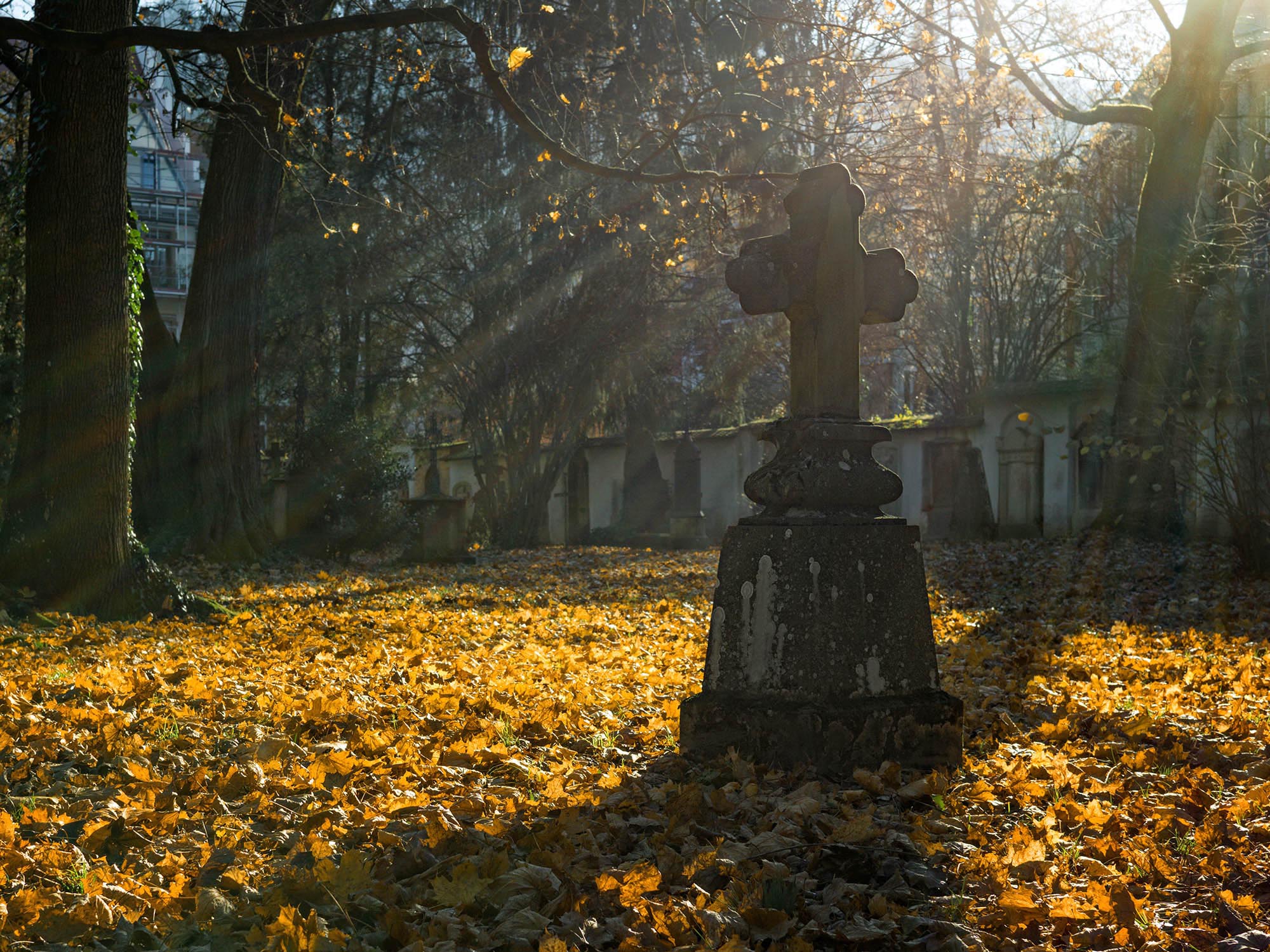 Death Serves as a Reminder of Where to Place Our Treasure