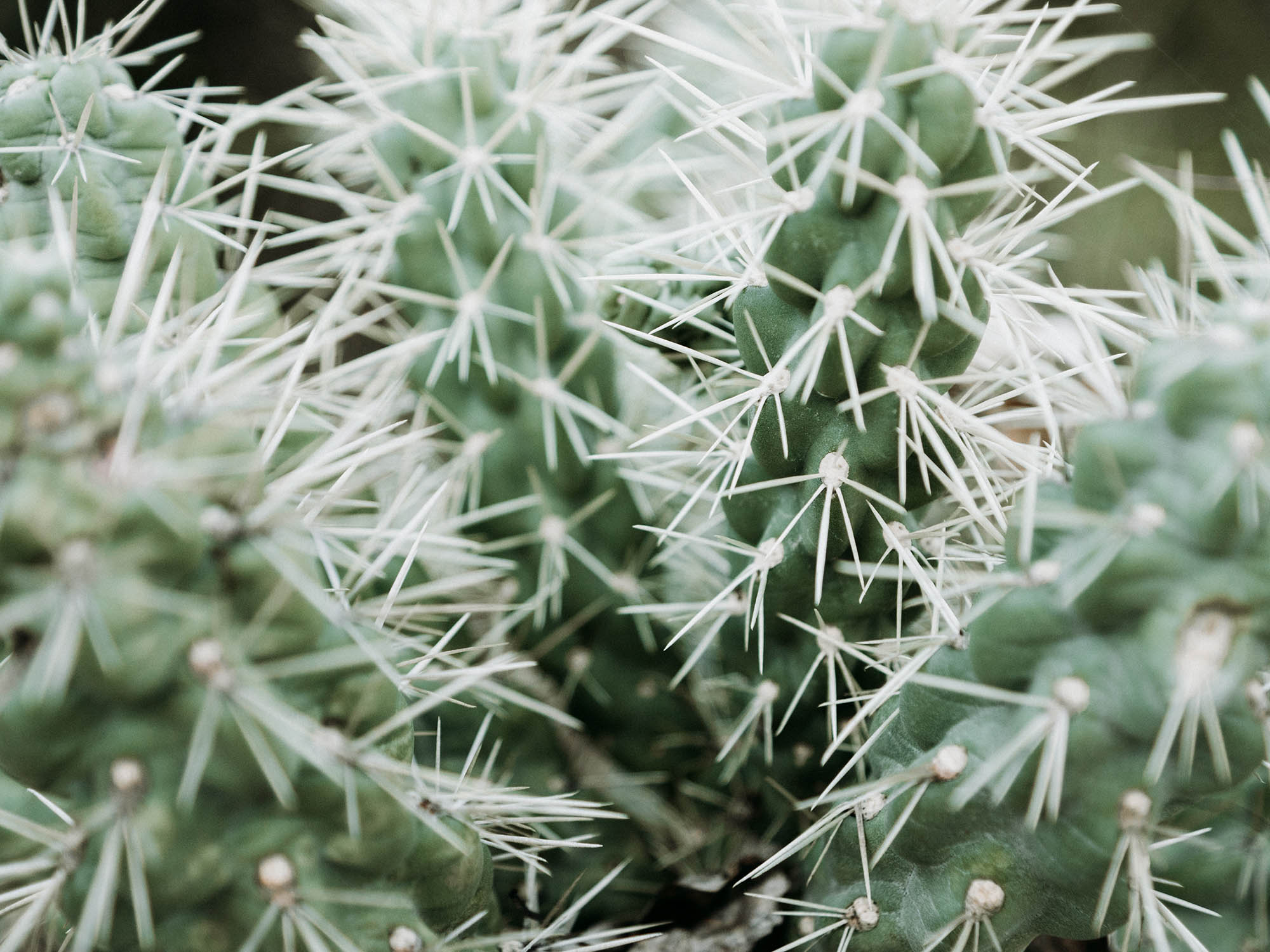 Hard Times Lead to Hard Questions