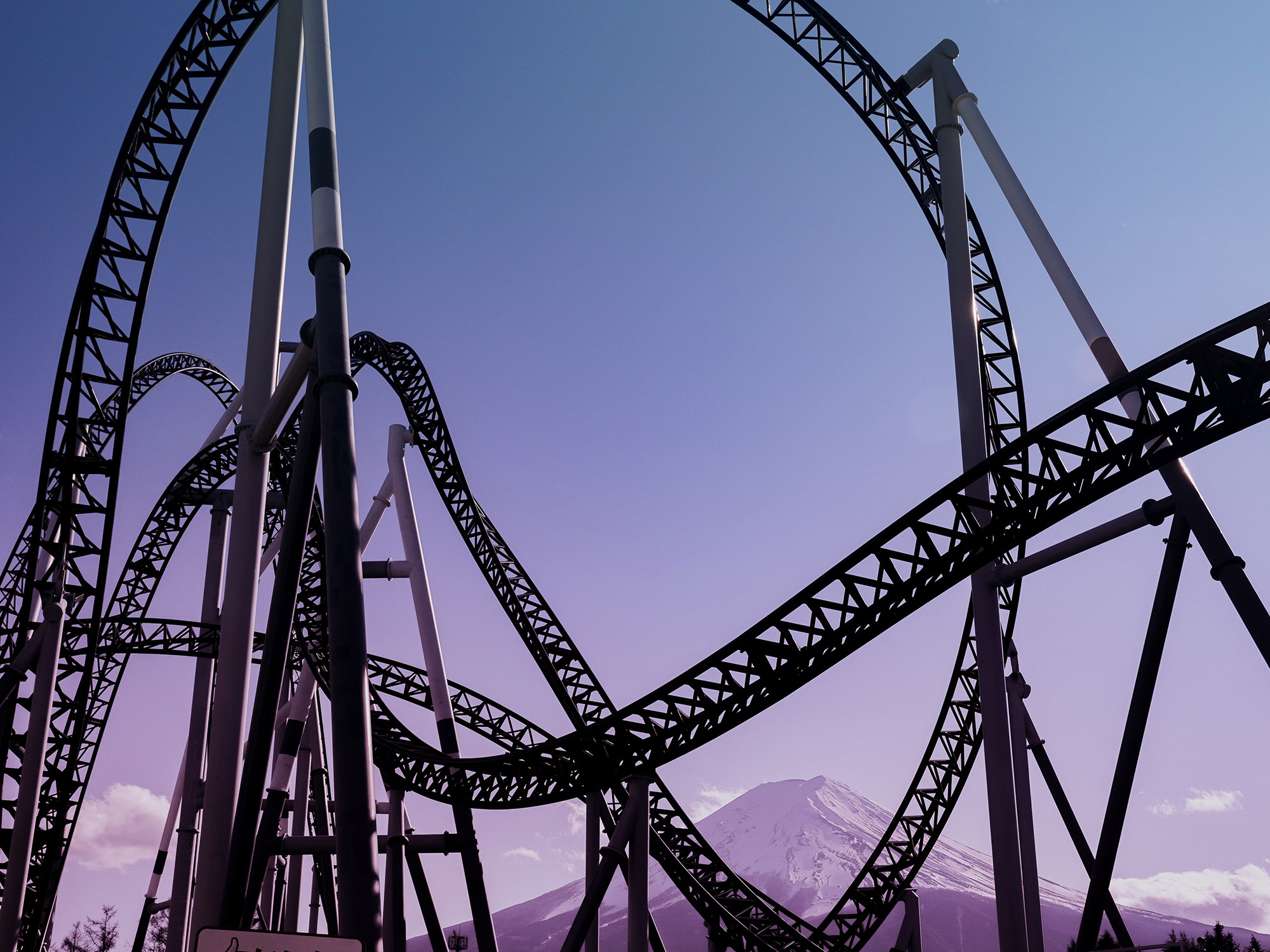 When Life Is a Roller Coaster—the Psalms Bring Sanity