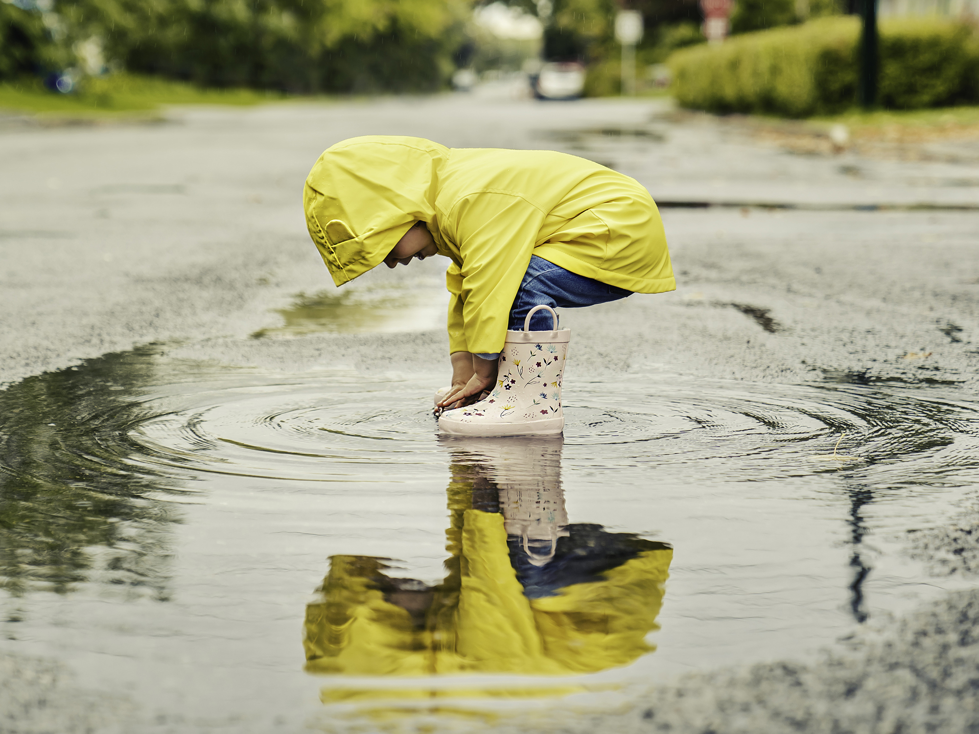 What Does It Mean to Be Made in God’s Image? | New Growth Press