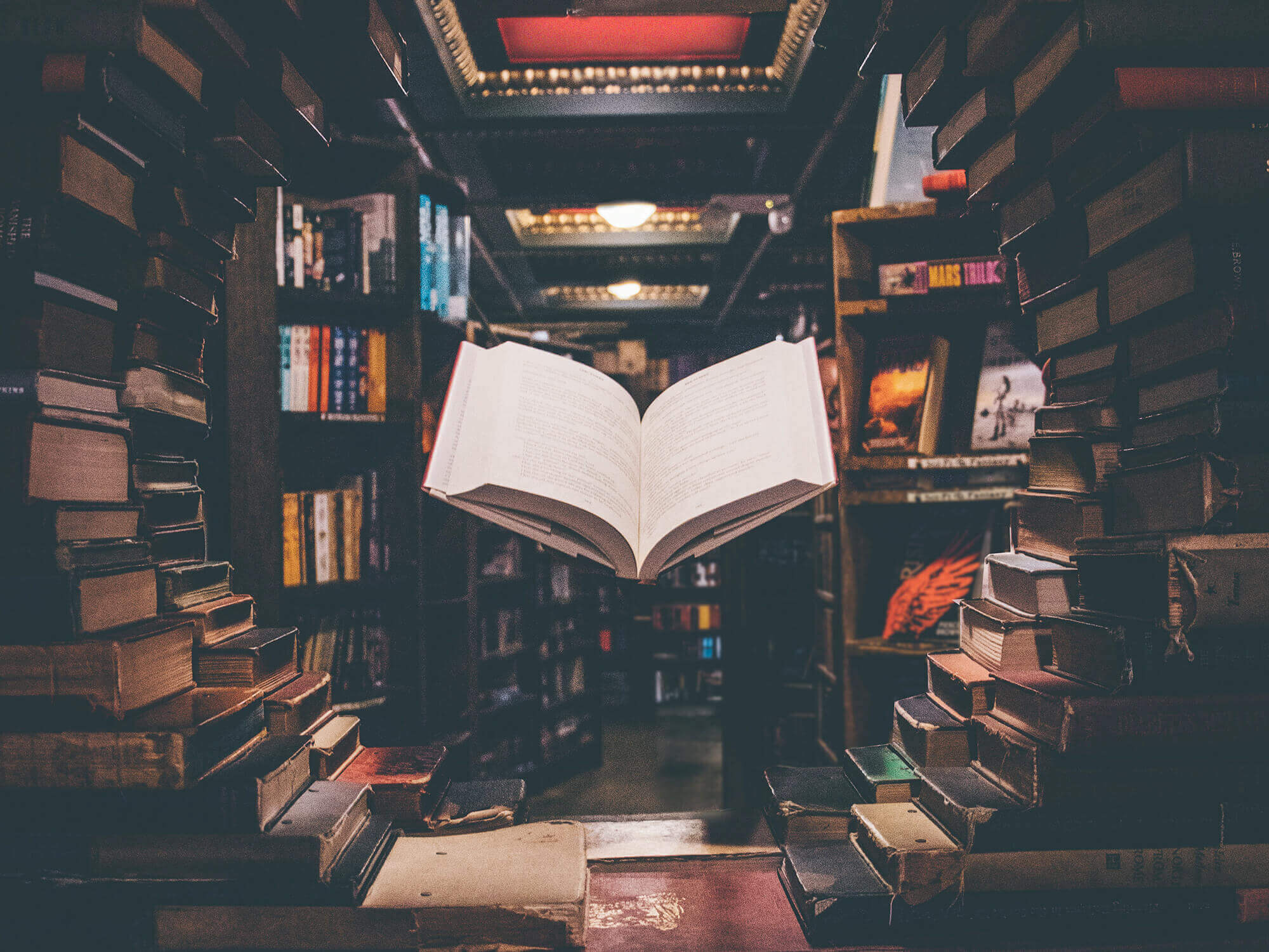 Three Reasons Why Reading Fiction Will Help You Read the Bible by Champ ...