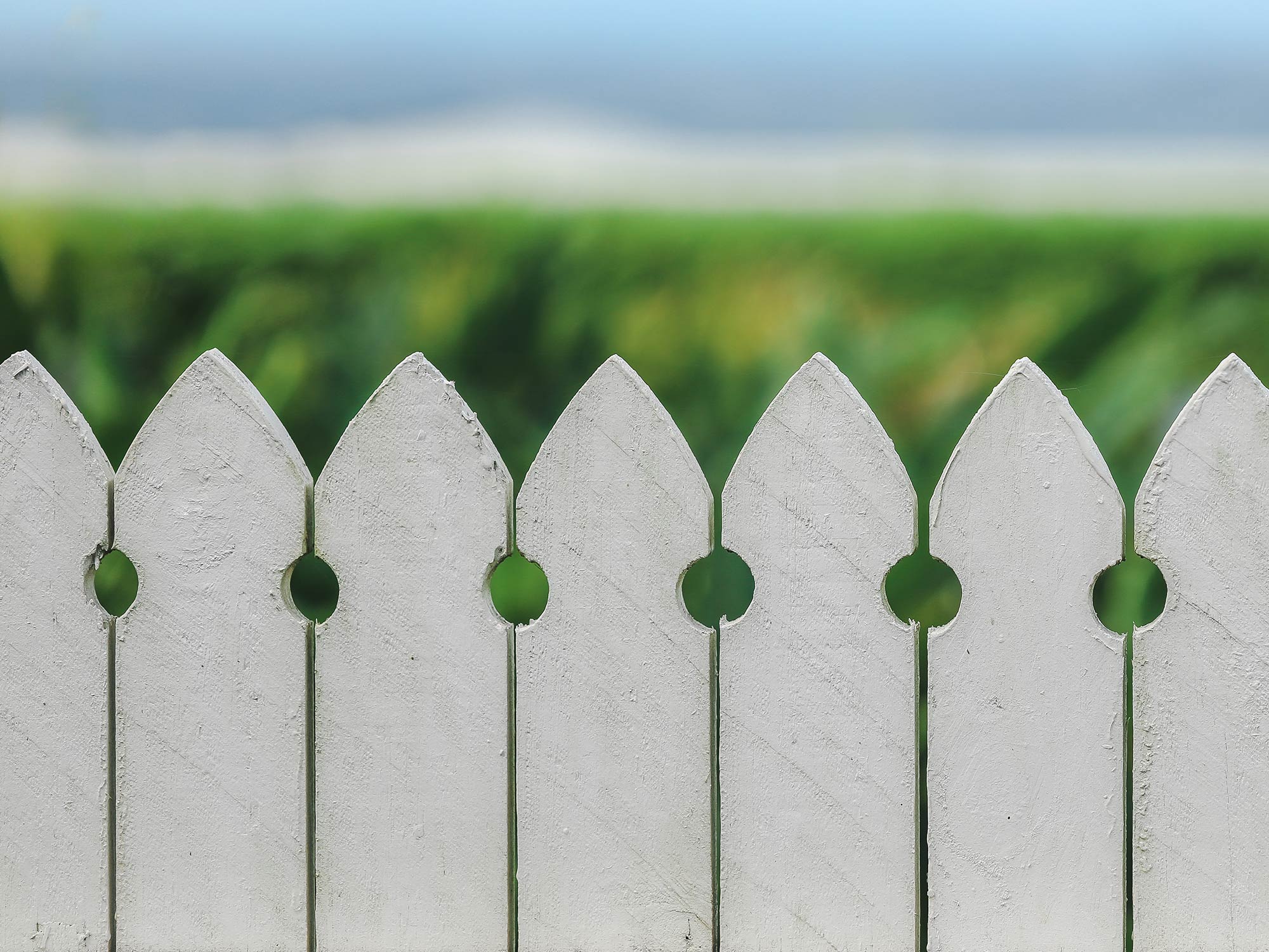 Setting Healthy Boundaries by Esther Smith | New Growth Press