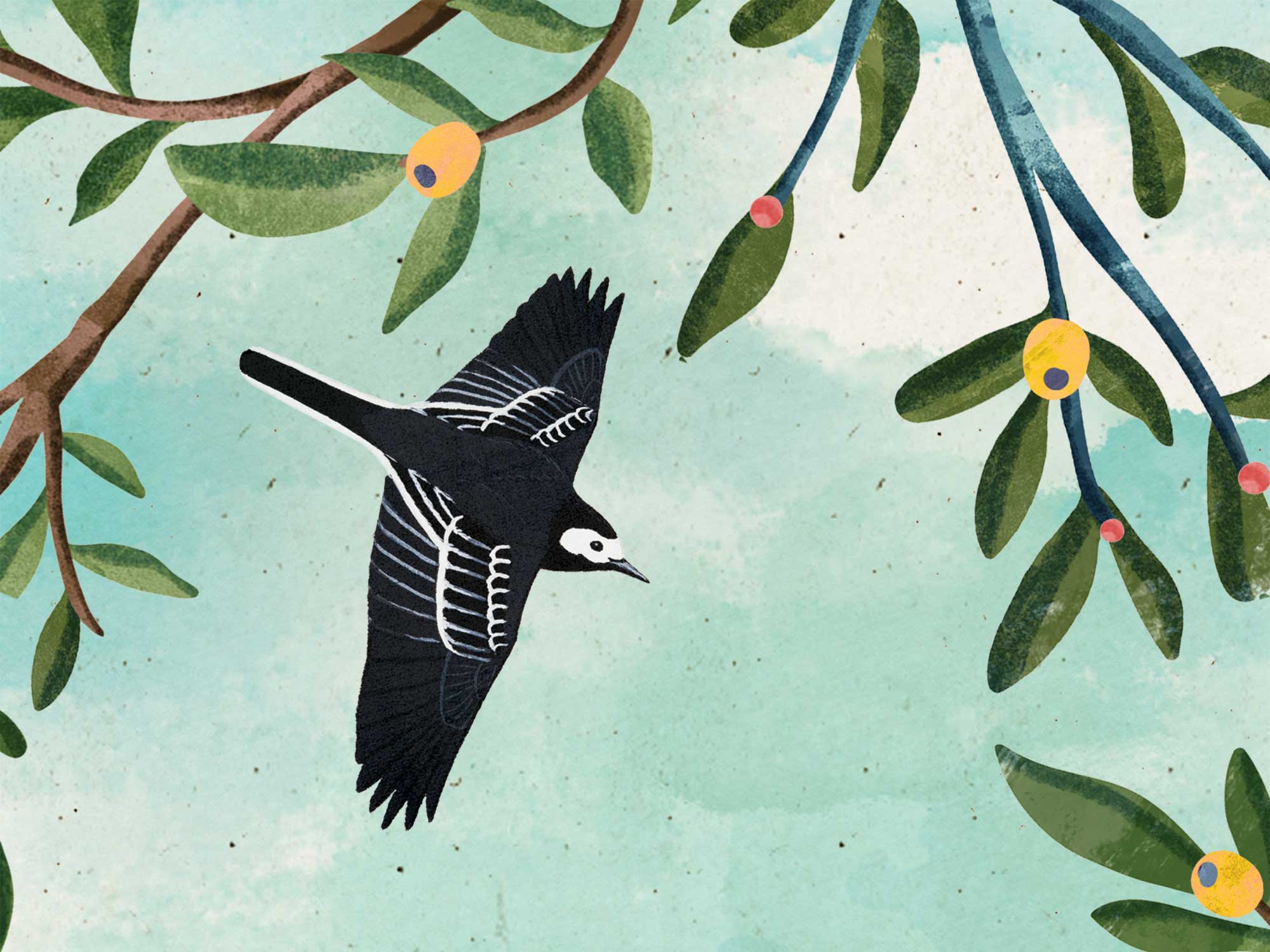 Summer Reading Preview: A Bird, a Girl, and a Rescue by J.A. Myhre ...