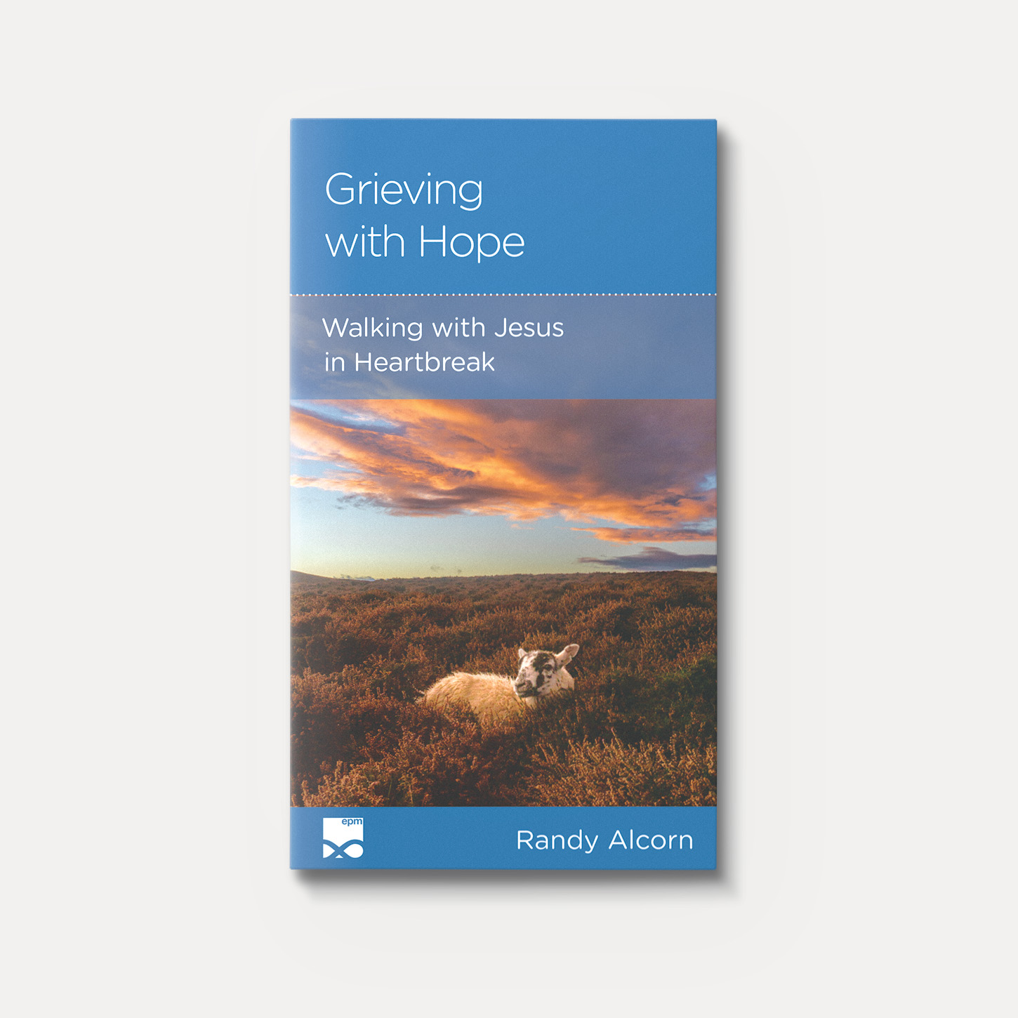 What the Bible Says about Grief