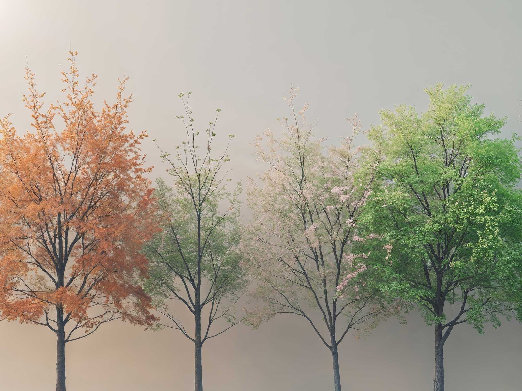 Renewed Purpose in a New Year by Julie Lowe | New Growth Press